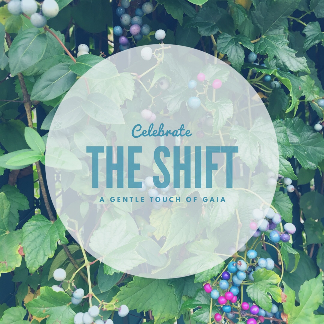 My Holidays and A gentle shift… – Spiritually Awkward